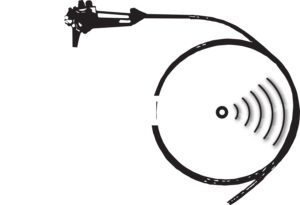 EUS-ENDO — International Live Course